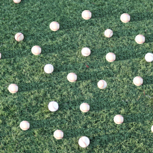The Ball Hawg™ – Ball Retreiver